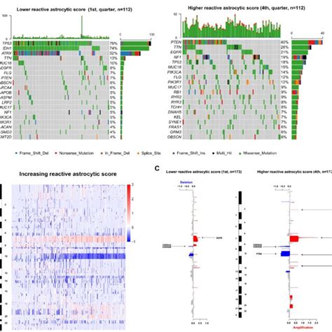 The Functional Analysis Of Reactive Astrocytic Score A Go Ontology Download Scientific