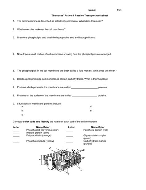 Biology Milestones Active Vs Passive Transport Activity Worksheet