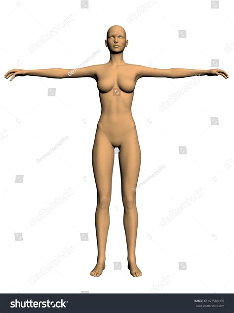 Realistic Naked Girl Pose Arms Raised Stock Vector Royalty Free Shutterstock