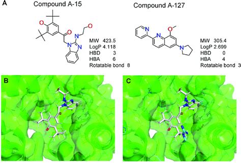 Structure Of The Representative Pfdpck Inhibitors A And Docking Download Scientific Diagram