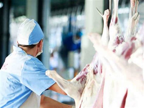 Энэ оныг дуустал дулааны аргаар боловсруулсан мах махан бүтээгдэхүүнийг үйлдвэрлэж экспортлохгүй