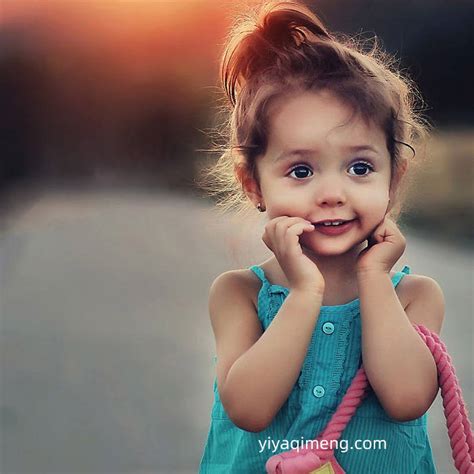 Hodder Ib Myp科学教材 Sciences For The Ib Myp 电子版pdf 下载 评估 How 内容