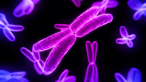 Preimplantation Genetic Testing Alpha Ivf