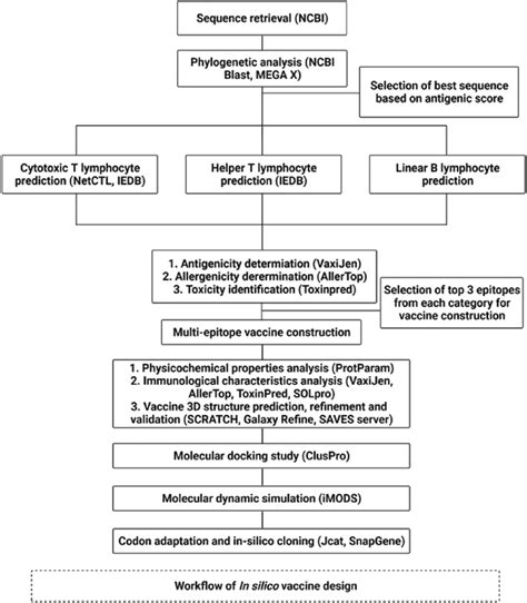 Workflow And Tools Used In This Study Download Scientific Diagram