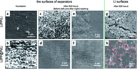 Li Nuclei On The Surfaces Of A Pp And B Pppt Separators Contacted