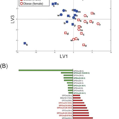 Correlation Of Serum Triglyceride Measure With Different Download Scientific Diagram