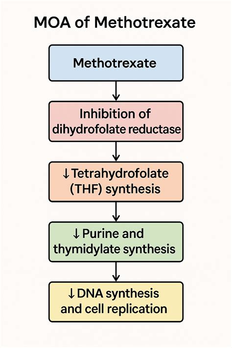 Methotrexate Mechanism Of Action Pharmacy Freak