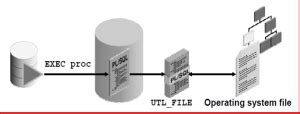 Utl File Package In Oracle With Examples Dot Net Tutorials