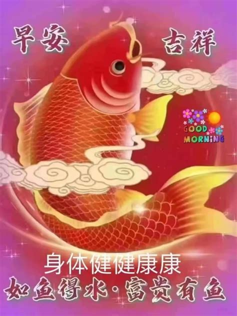 早安老友記，身體健康，人人如魚得水，富貴 E123長青網 長者服務及老人院資訊