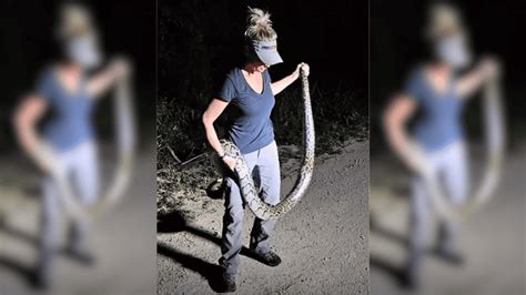 Floridas Python Challenge 2024 Kicks Off In The Everglades Animals