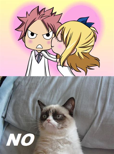Gumpy Cat Grumpy Cat Photo 39295301 Fanpop