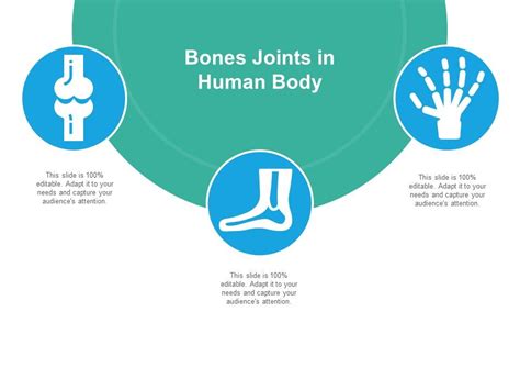 Bones Joints In Human Body Ppt Powerpoint Presentation Infographics Template