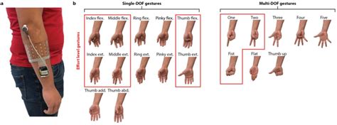figure 1 from adaptive emg based hand gesture recognition using hyperdimensional computing