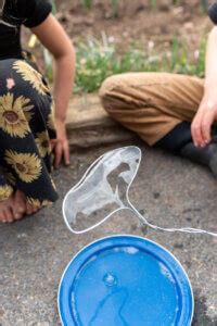 DIY Bubble Solution Easy Homemade Fun For All Ages Homesteading Family