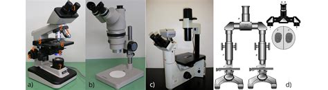 An Introduction To The Light Microscope Light Microscopy Techniques