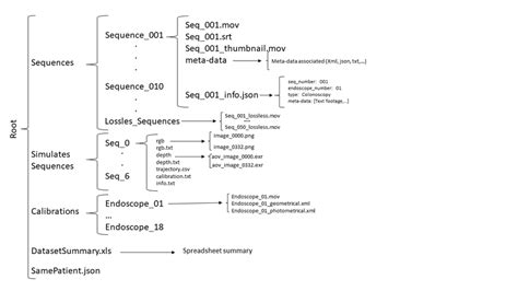 Directory Structure Of The Dataset The Right Part Is An Example Of The Download Scientific
