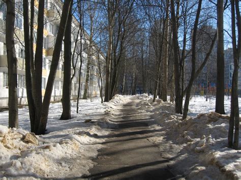 무료 이미지 이미지들 하늘 자연 경관 자연 환 경 목재 작은 가지 트렁크 눈 노면 동결 도로 경치 낙엽 잔디 작은 숲 삼림지 그늘 겨울