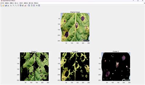 【植物疾病的识别】使用叶片图像检测植物疾病研究【图像采集、分割、特征提取】（matlab代码实现） csdn博客