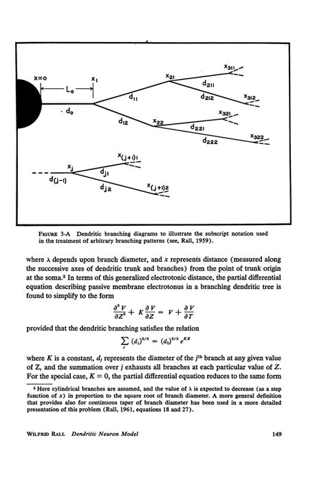 Electrophysiology Of A Dendritic Neuron Model Pmc