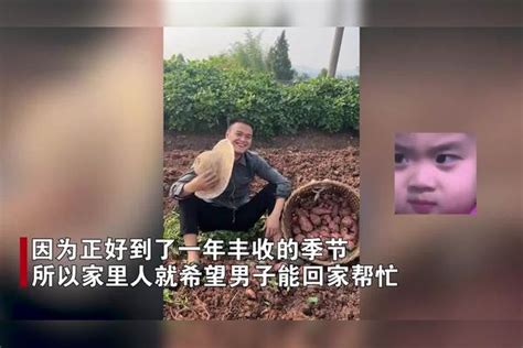 男子开豪车回老家帮忙务农直接用后备箱运红薯藤小细节引怒赞 红薯 细节 男子
