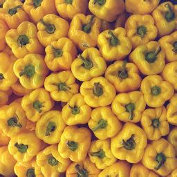 Semi Causal Nonparametric Markov Random Field Texture Synthesis Of