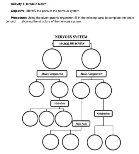 Activity 1 Break It Down Objective Identify StudyX