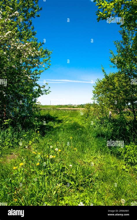 Field Path In A Colorful Scene Stock Photo Alamy