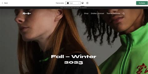 Shopify Streamline Theme Everything You Should Know