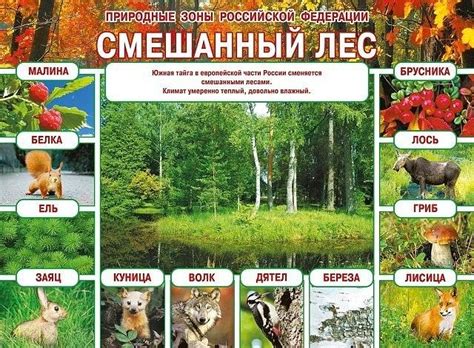 🌺 🌻 🌼 | OK.RU | Science for kids, Geography, Ecology