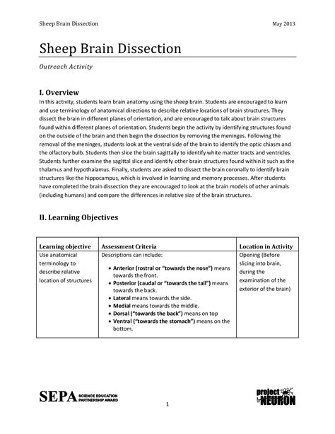 Sheep Brain Dissection Worksheet Printable Word Searches