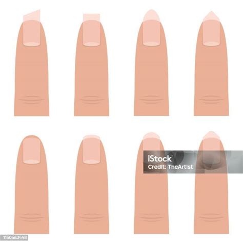 여성 손톱 모양 흰색 배경에 고립 된 벡터 디자인 일러스트 가장자리에 대한 스톡 벡터 아트 및 기타 이미지 가장자리 건강한 생활방식 다양 Istock