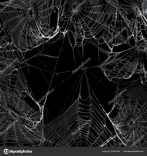 Real Spooky Spider Webs Hanging Together To Make A Frame Hallow Stock