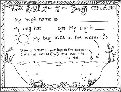 Build A Bug Workshop Ecoreach Odum School Of Ecology