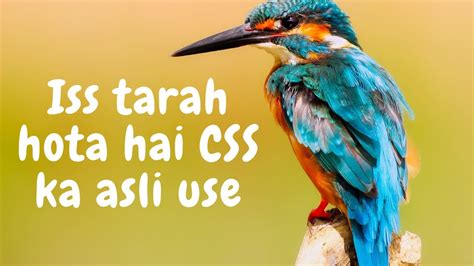 What Is Css Css Definition In Hindi Cascading Style Sheet Youtube