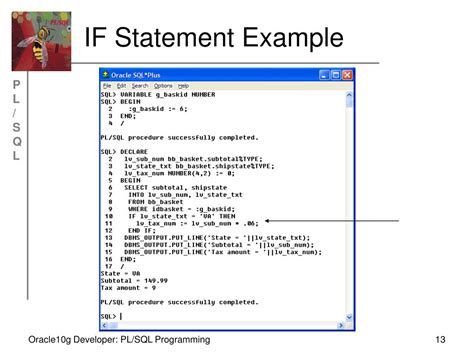 PPT Oracle10 G Developer PL SQL Programming PowerPoint Presentation