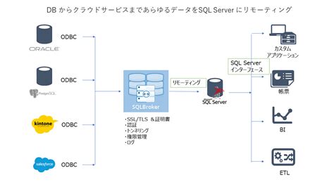 Sql Server にkintone リンクサーバーを作成、powerbiやtableau からデータを参照 Cdata