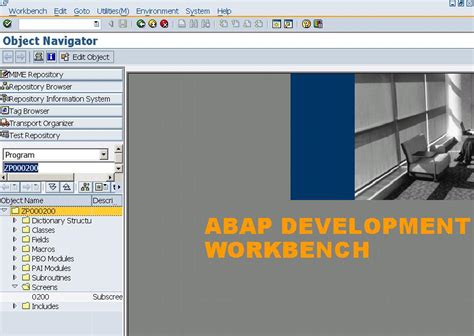 Infotype 2 Enhancement For Displaying Employee Age Sap Community