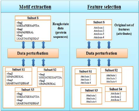 Data Perturbation In Feature Selection And Motif Extraction Download