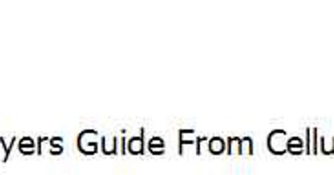 The Essential Business Buyers Guide From Cellular Service And Overnight