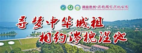 湖南澧州涔槐国家湿地公园迎来国家验收评估 保护
