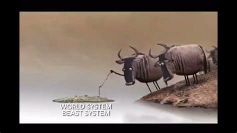 Do Not Be Misled Youtube