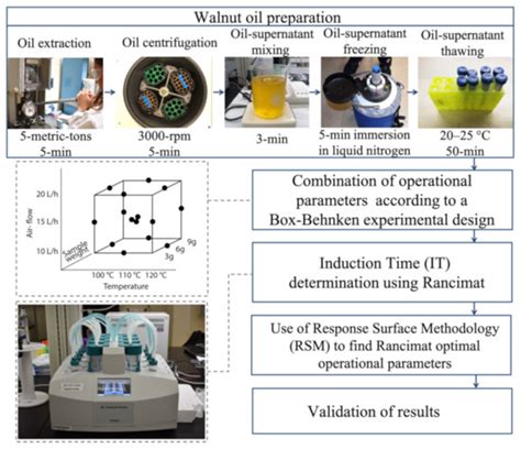 Processes Special Issue Extraction And Fractionation Processes Of Functional Components In