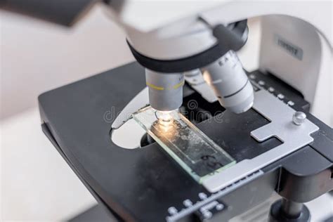 Close Up View Of Laboratory Worker Using Microscope And Examines Fragments Of Tissue