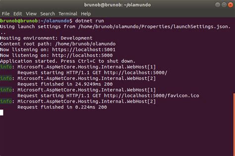 Instalando Aspnet Core 21 No Ubuntu 1804 By Bruno Barros Medium