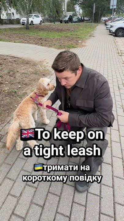 Тримати на короткому повідку Youtube