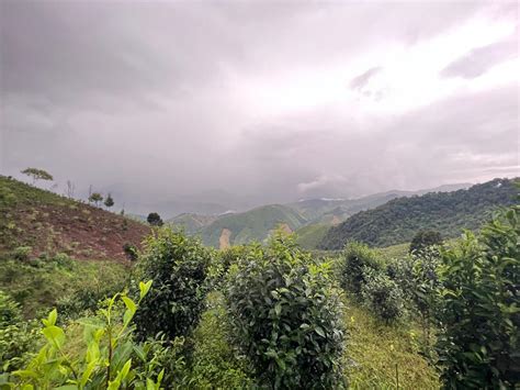 ພະແນກແຜນການ ແລະ ພະແນກແຜນການ ແລະ ການລົງທຶນແຂວງ ໄຊຍະບູລີ