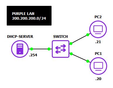 Dynamic Host Configuration Protocol Linux Mastering Enterprise Networks