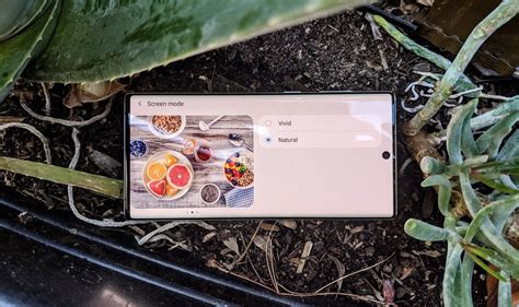 Samsung Galaxy Note 10 Display Review - Vibrant, bright, but not that ...