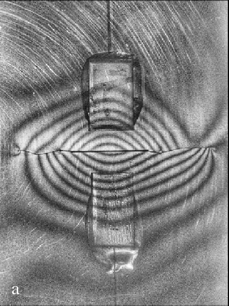 6 2 Holographic Interference Patterns On Specimens 1 2 16 20 2 A Download Scientific Diagram