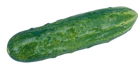 The Cucumber Challenge 1k Sub Spechial Youtube